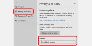 How to Enable Cookies in Edge Browser [With Screenshots]